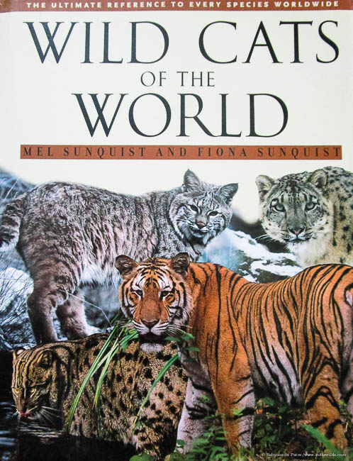 Wild Cats of the World