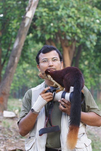 This Massive Squirrel Has Been Saved from Extinction - Democratic ...