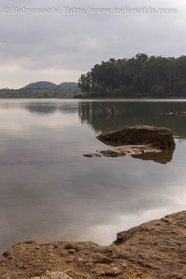 Tranquility