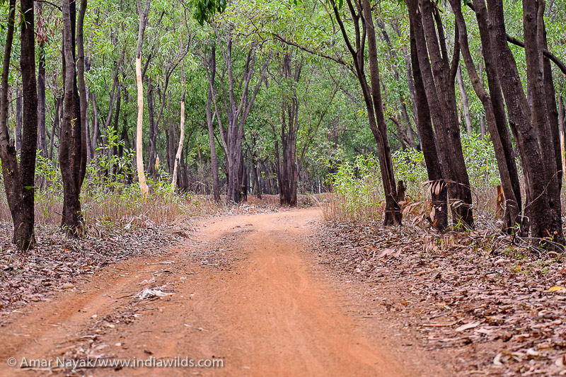 Industrial hub or Biodiversity trove? – What is your choice!