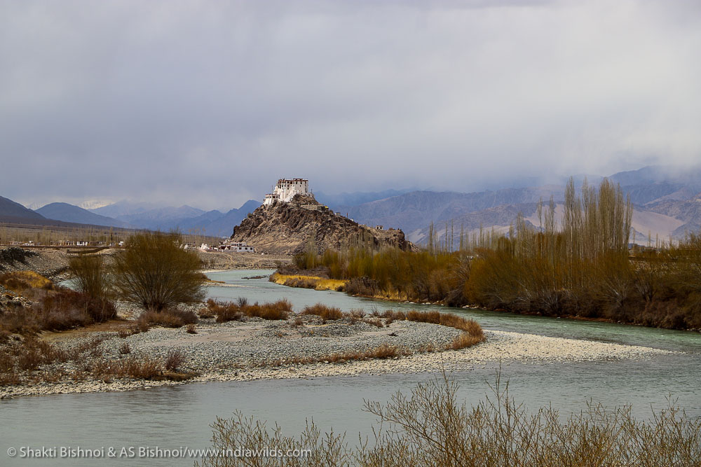 Ladakh: An Enchanting Landscape