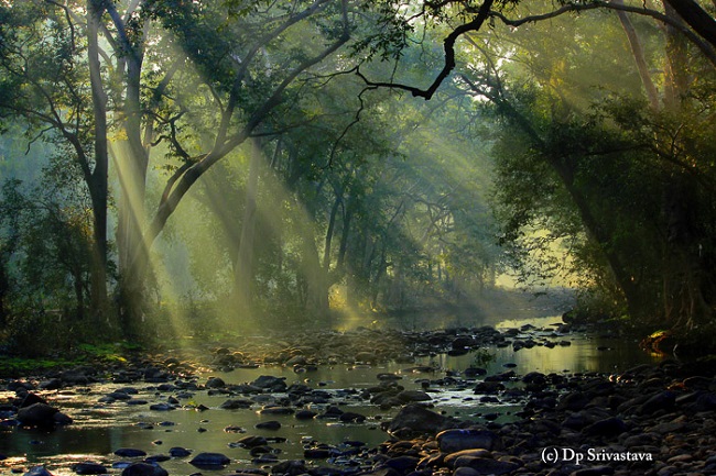 Panna Drowning: Fears of a Volunteer