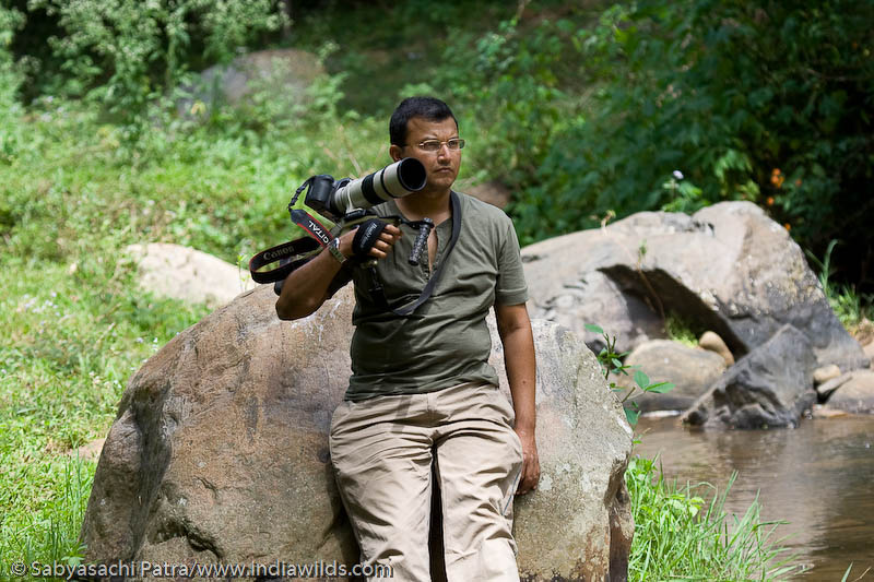 Shoulderpod: Bush Hawk 320D