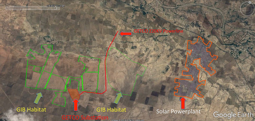 The Last GIBs of Gujarat