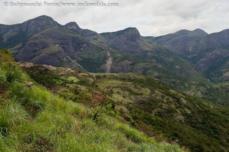 Shola Forests of Kerala: Environment and Biodiversity