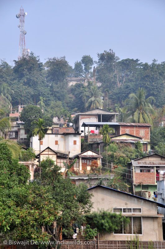 Temple of the Stars – An Urban Bird watching Hotspot