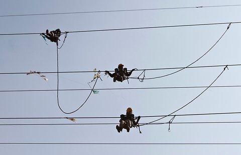 Kite flying: Impact on birds